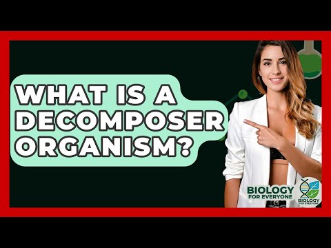 What Is A Decomposer Organism? - Biology For Everyone