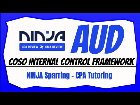 AUD CPA Exam Tutoring | COSO Internal Control Framework