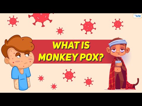 what is monkeypox? | Monkeypox explained | is monkeypox real | letstute | monkeypox.