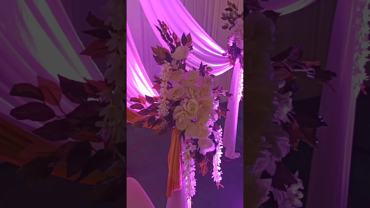 #shorts New Star 🌟 event management 😍