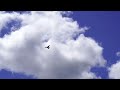 Racing pigeon website of Hans and Evert Jan Eijerkamp