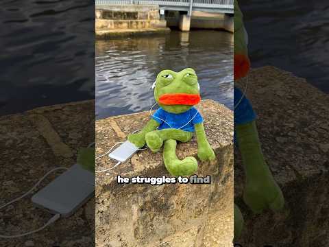 The saddest plushie #plushies #pepe #sad #introvert