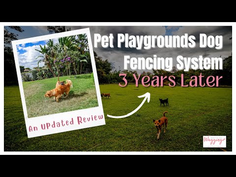Pet Playgrounds Review, An Alternative to Electric Dog Fencing Systems