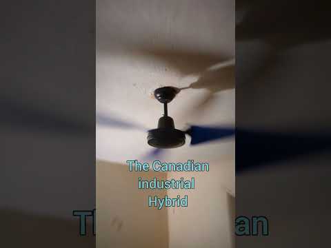 The Hampton Bay industrial VS Canadian Industrial! #ceilingfan #crazy #vs #shorts