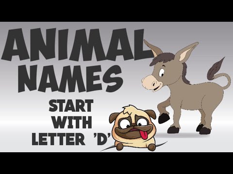 Animal Names Start with Letter 'D' | Animals Name | Animal Names for Kids | Educational Videos