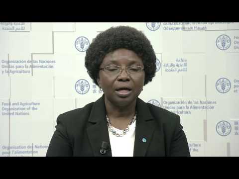 Food based dietary guidelines for healthy diets: a message from FAO’s Nutrition Division Director