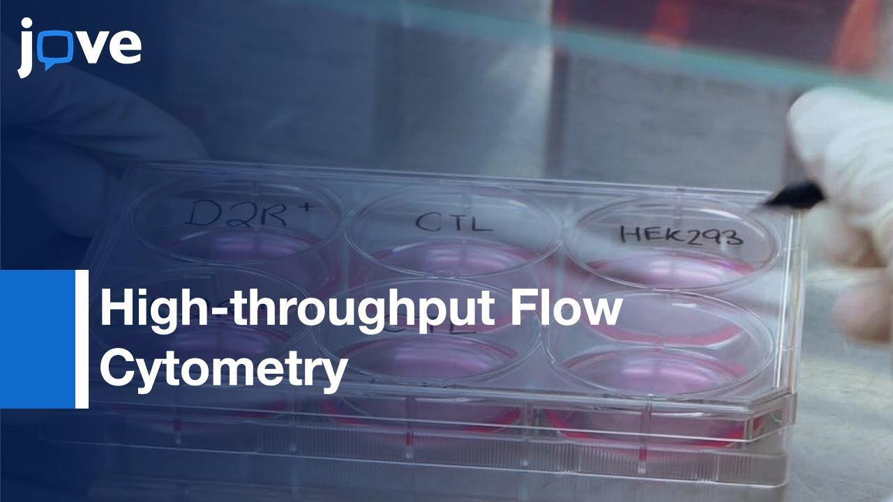 High-throughput Flow Cytometry: Antibodies detection | Protocol Preview
