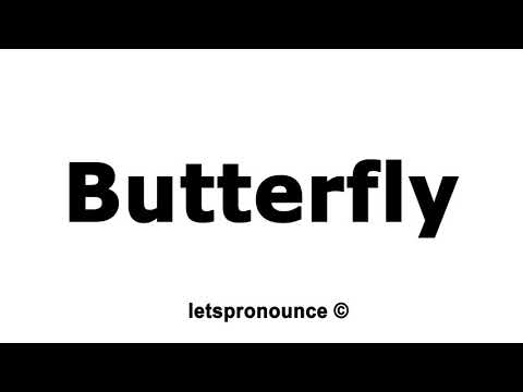 How to Pronounce Butterfly