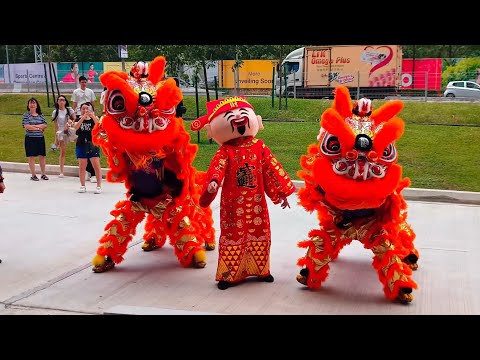 Lion Dance + Wealth God Blessing Ceremony | Traditional Chinese Ritual in Action