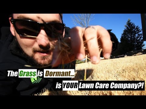 10 Additional Services your Lawn Care and Landscaping Business can offer