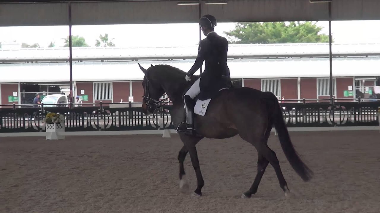 Jaimey Irwin Donegal V first CDI with over 70% in the Intermediare 1 in Wellington, Florida 2016.