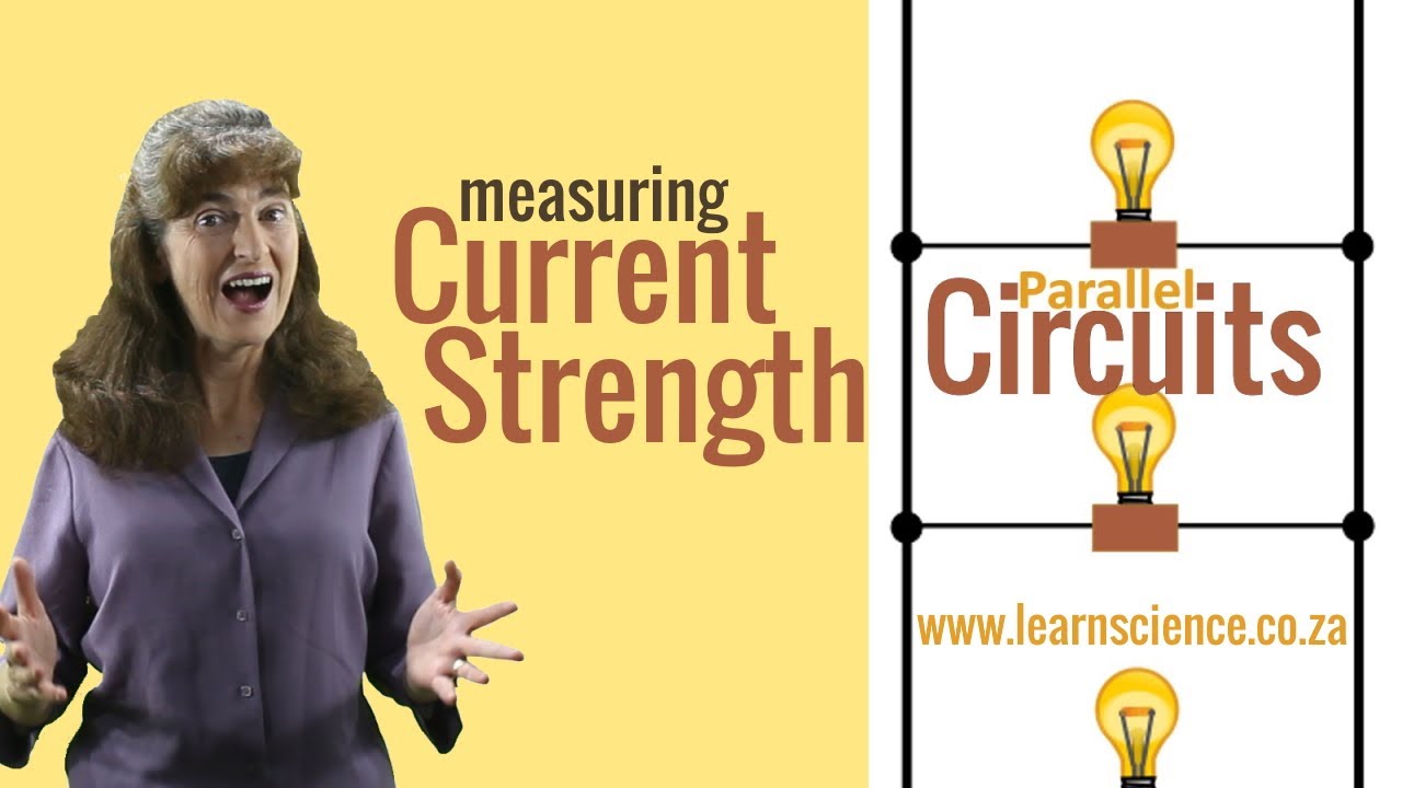 Measuring Current strength | Parallel Electric Circuits