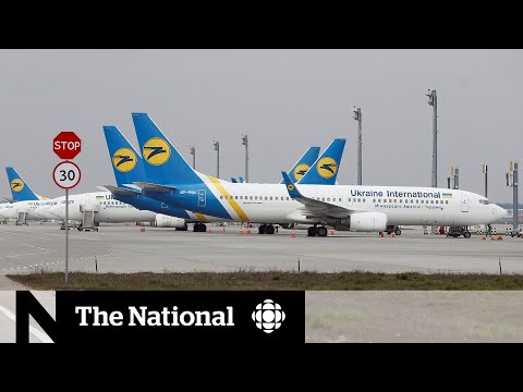 Dozens of dead dogs found on flight from Ukraine