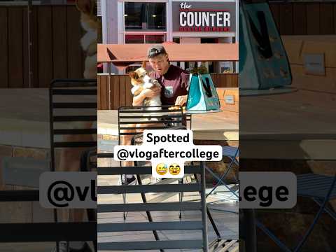 Spotted Vlogaftercollege & his Corgi! 😅