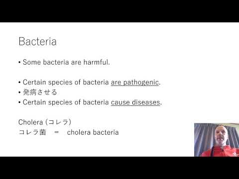 Germs, bacteria, and viruses