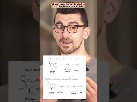 🍷 Fermentation alcoolique (Extrait de la CHIMIE DU VIN)