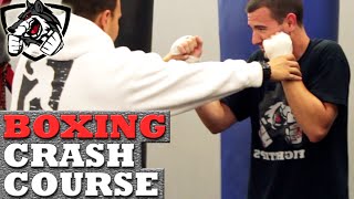 Boxer Overview | What is a boxer? - Zippia