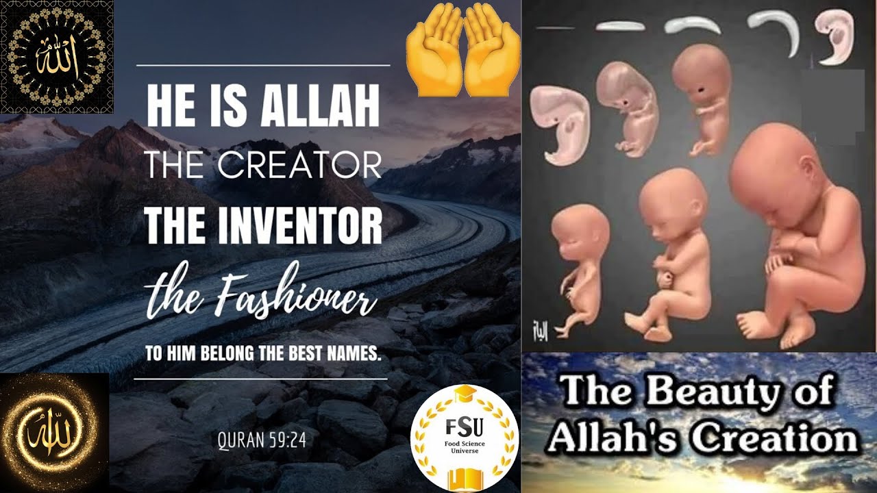 The Beauty of Allah Creation|He is Allah|The Creator|The Inventor|The Fashioner