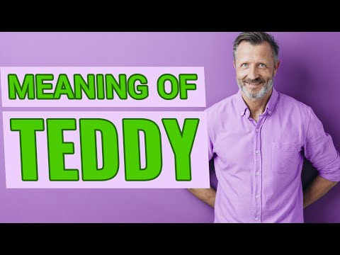 Teddy | Meaning of teddy 📖 📖 📖 📖