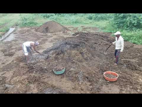 Cow dung Cake for Manure Exporters from India