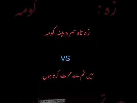 Urdu To pashto translation