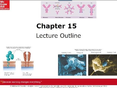 Chapter 15 Adaptive Immune System