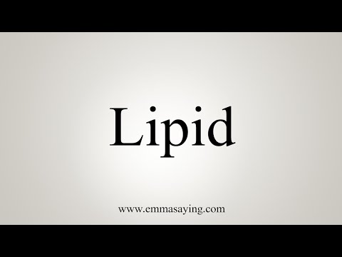 How To Say Lipid