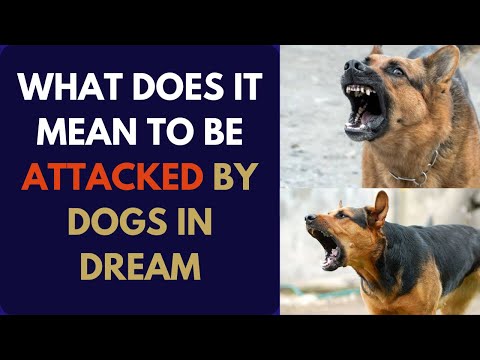 When Dogs Attack You in a Dream – What Does It Mean? | Joseph Oladipo