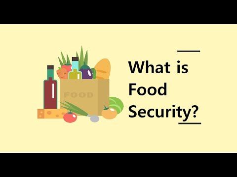 What is Food Security?