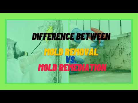 Different Between Mold Removal vs Mold Remediation | Certified Mold Removal Restoration