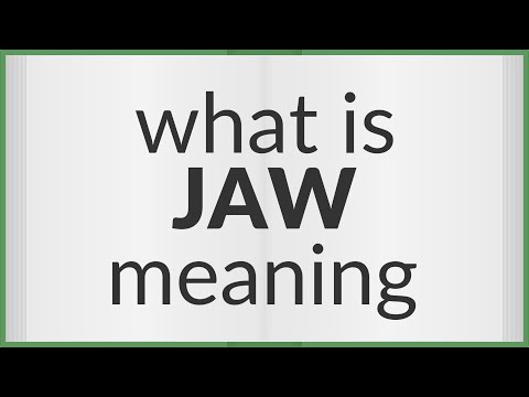 Jaw | meaning of Jaw