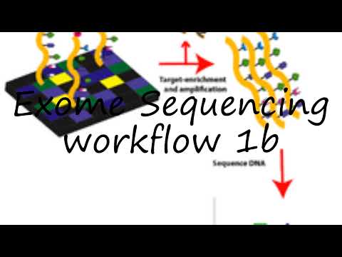 How to pronounce Exome Sequencing workflow 1b in English?