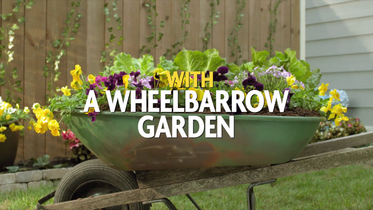 How to Create a Mobile Garden with an Upcycled Wheelbarrow