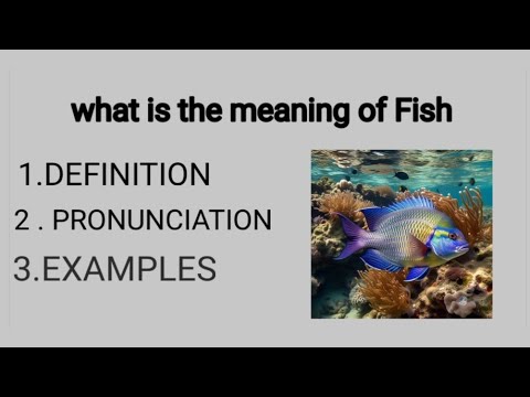 Definition of fish ||what is the meaning of fish || Fish meaning in English