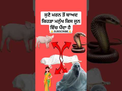 ਮਰਨ ਤੋਂ ਬਾਅਦ ਕਿਹੜੀ ਜੂਨ ਮਿਲਦੀ ਹੈ | sikh history | Sikh itihas | Sikhism | Katha | sakhi #shortsvideo