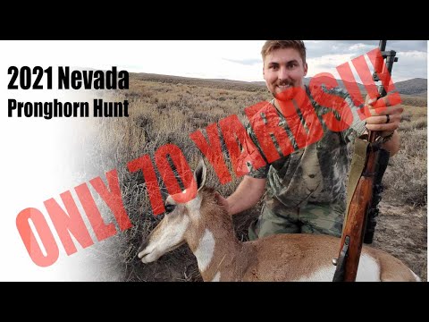 Nevada Pronghorn (Antelope) Hunt 2021 - Zone 155, 141, 143
