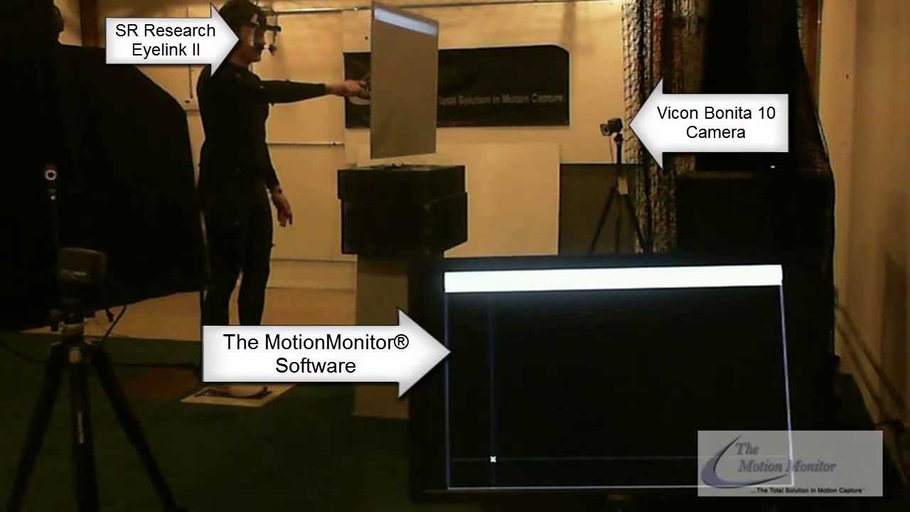 Biofeedback Target Reaching with Eye-Tracking