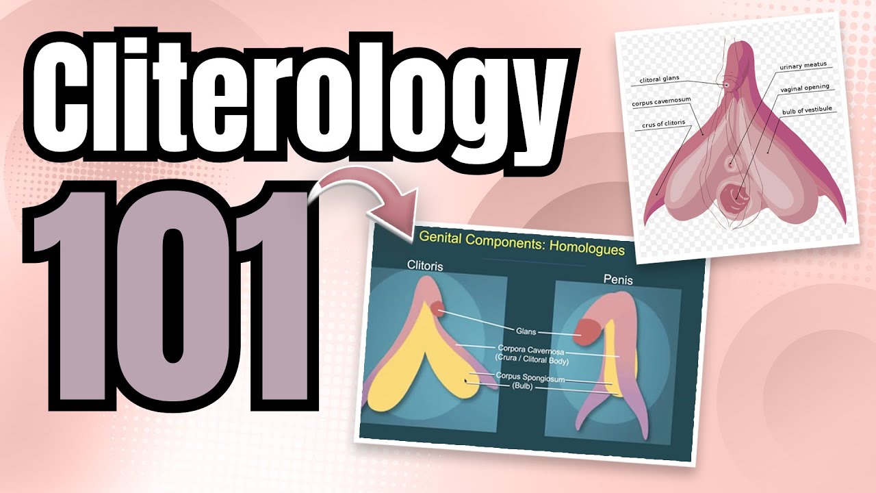 Cliterology 101