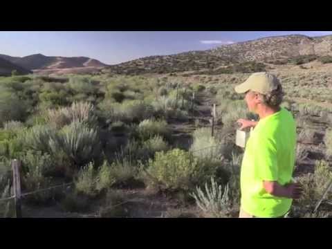 Nevada Gold Mine