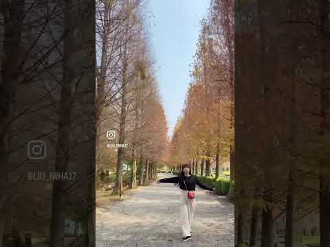 Changhua Taiwan #holiday #vacation #exploretaiwan #timefortaiwan