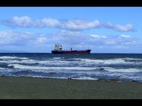 Punta Arenas, Magallanes, Region of Magallanes and Chilean Antartica Region, Chile, South America