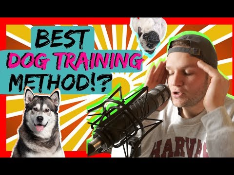 What is the best dog training method? No Bad Dogs Podcast with America's Canine Educator
