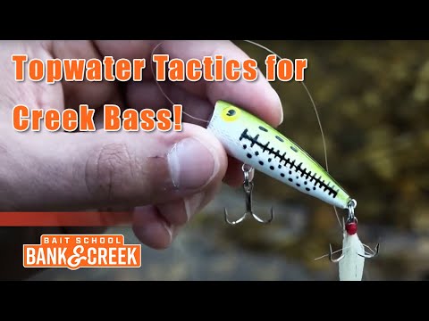 Why Do Bass Eat Topwaters in the Morning? - Bank & Creek