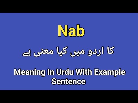 Nab meaning in urdu/hindi |How to pronounce nab|nab in sentence |nab k kia mtlb h