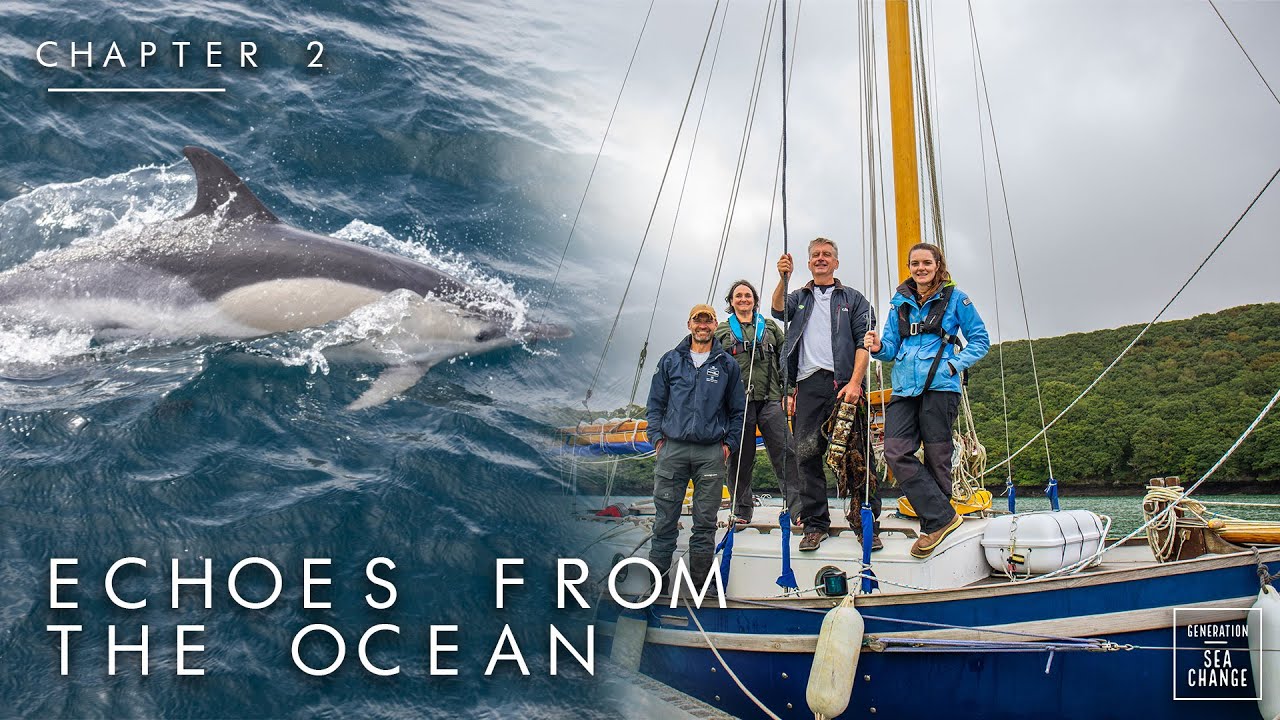 Echoes from the Ocean | Cetacean Acoustic Trend Tracking Project