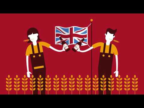 AB InBev - Better World 2017