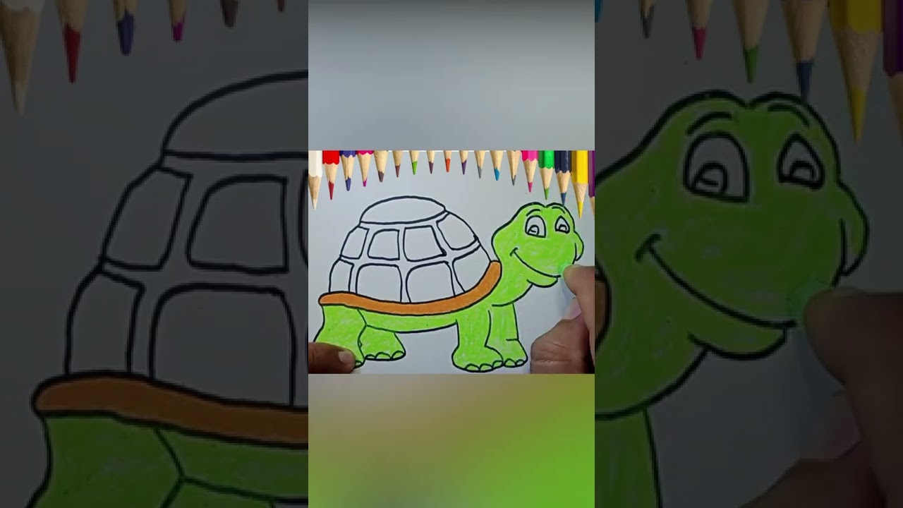Color in Turtle - Visit channel for full tutorial