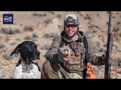Man Survives Crash with Help from His Dog After Crawling for 11 Hours ...