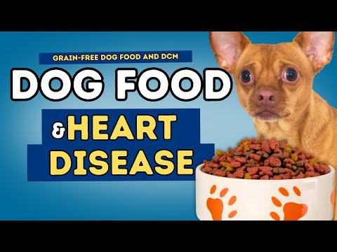 Grain-Free Dog Food STILL Causing Heart Disease? New FDA Update Revealed!