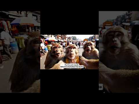 how to making a ai monkey vlogger/blogger video( AI से बंदर का ब्लॉग वीडियो कैसे बनाएंगे )